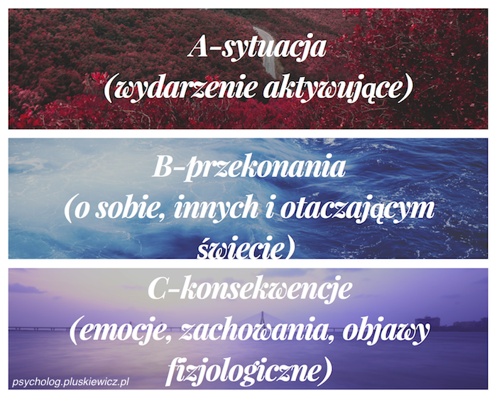 Model ABC – Psycholog Dominika Pluskiewicz